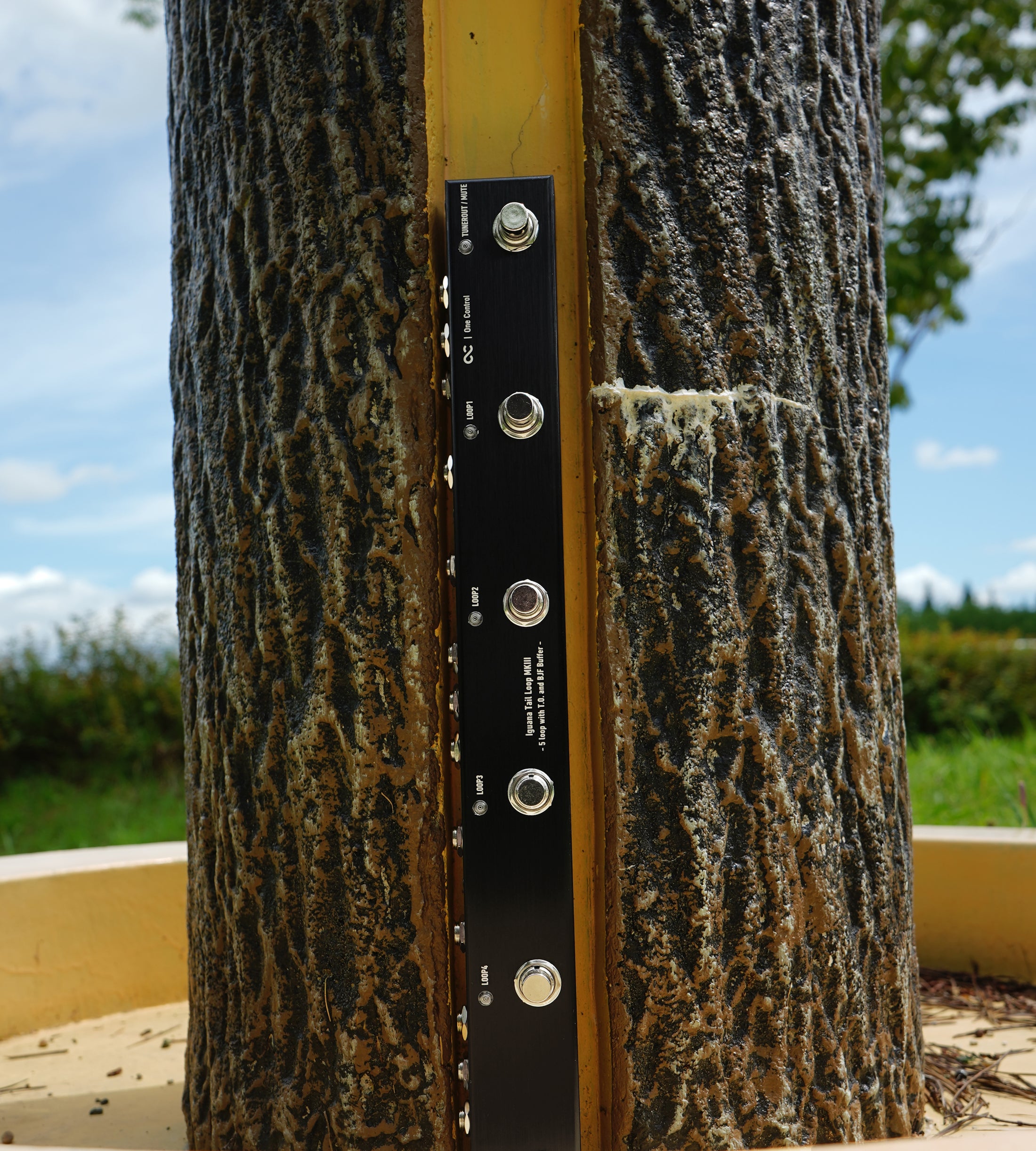 Iguana Tail Loop MKIII - 5 loop with T.O. and BJF Buffer - (OC-5PLV3 ...