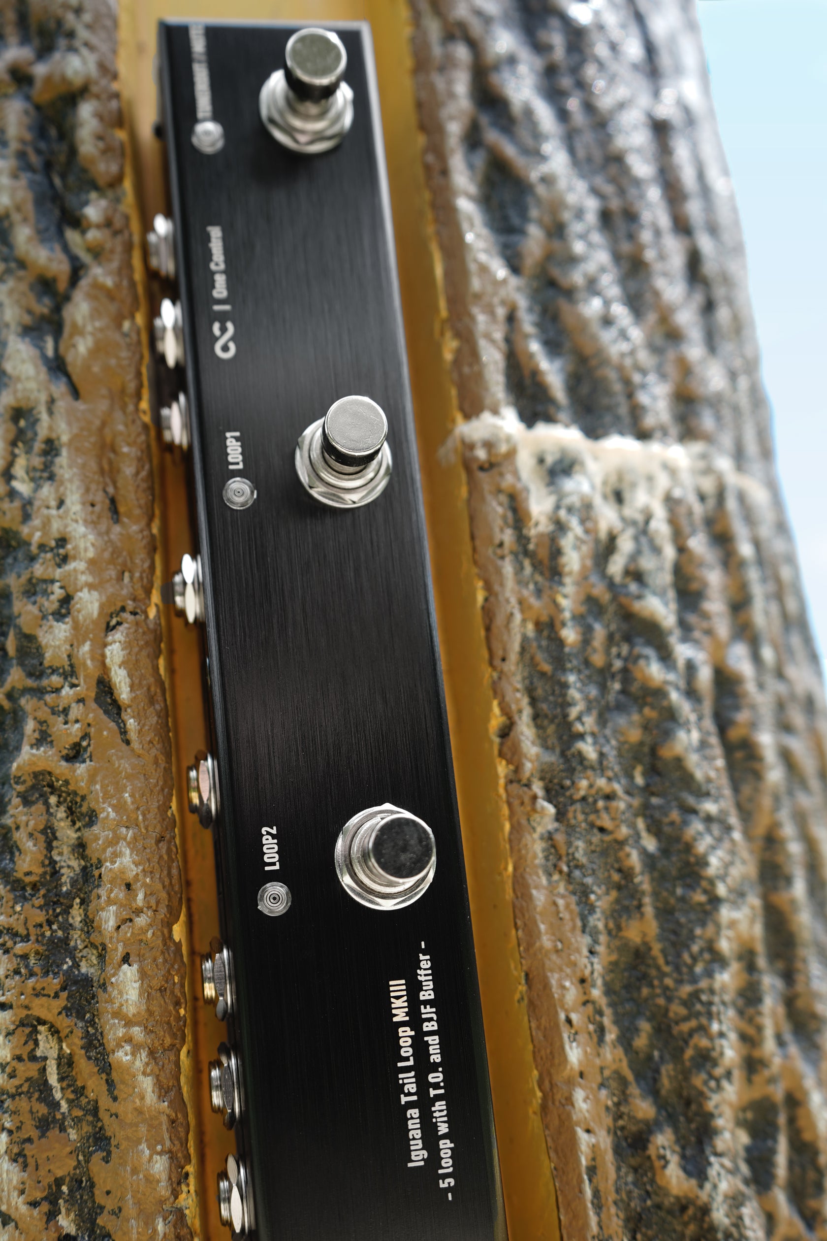 Iguana Tail Loop MKIII - 5 loop with T.O. and BJF Buffer - (OC-5PLV3 ...